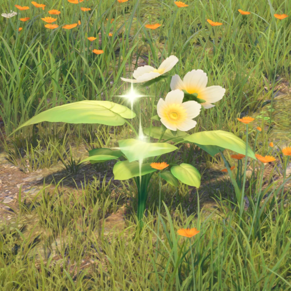 Margarida (Coletar) | Infinity Nikki Wiki | Fandom