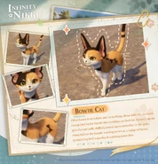 Bowtie Cat | Infinity Nikki Wiki | Fandom