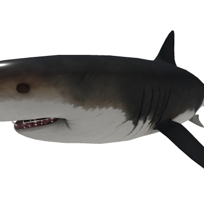 Shark | Infinity RPG Wiki | Fandom