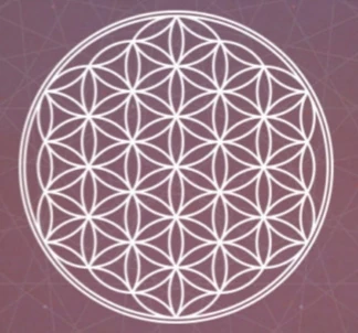 Eclipse | Infinity RP Wiki | Fandom