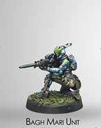 BAGH-MARI Unit | Infinity Wiki | Fandom