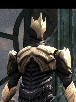 Soulless Raidriar | Infinity Blade Wiki | Fandom