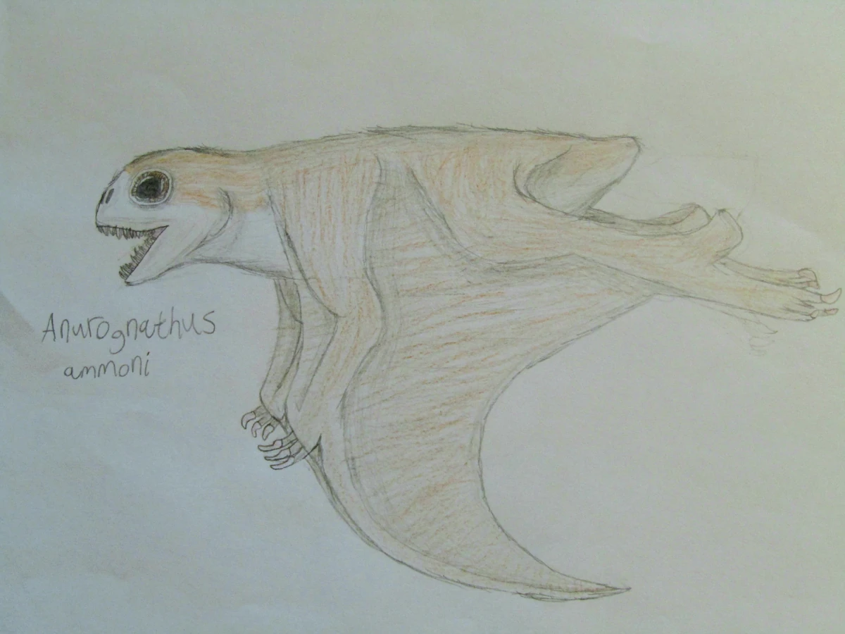Anurognathus | DinoCoat The Gaming Tyrannosaur Wiki | Fandom
