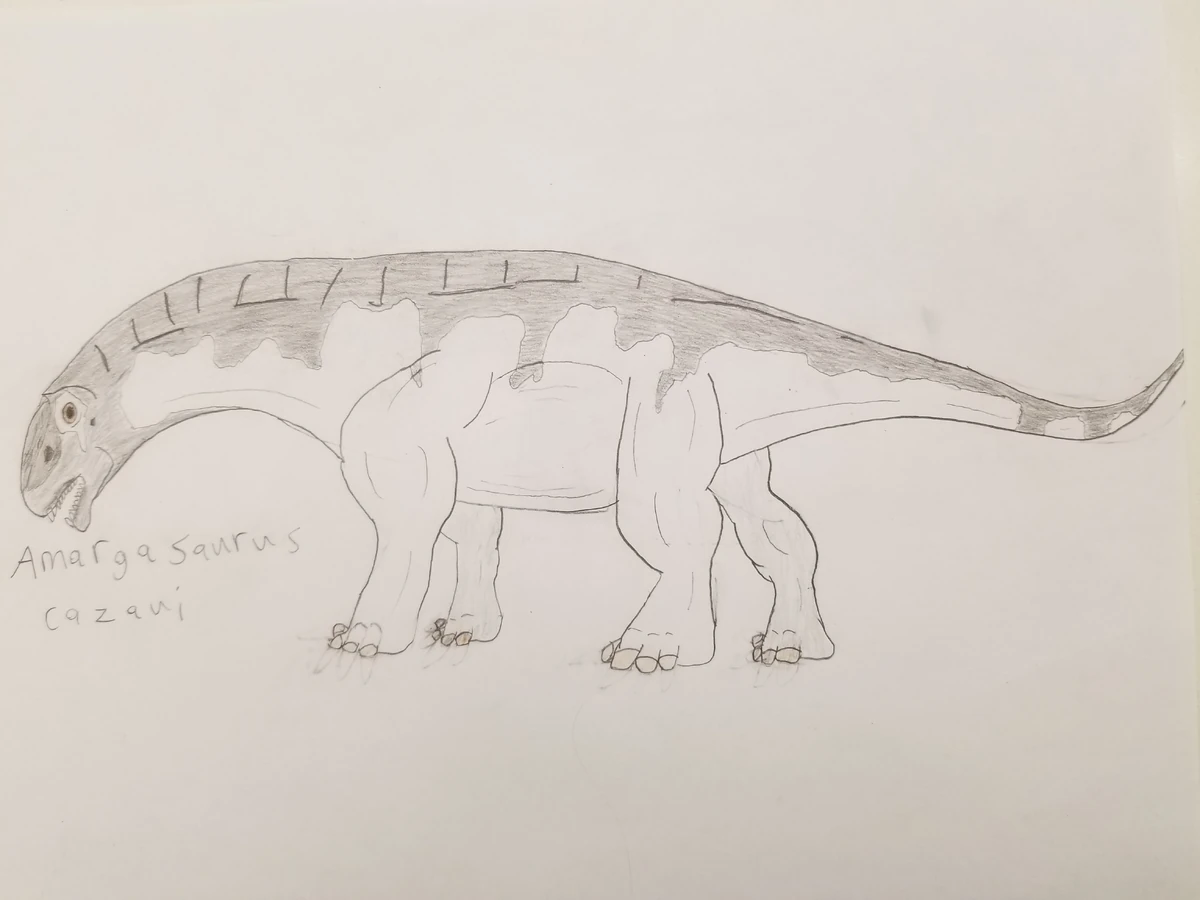 Amargasaurus | DinoCoat The Gaming Tyrannosaur Wiki | Fandom