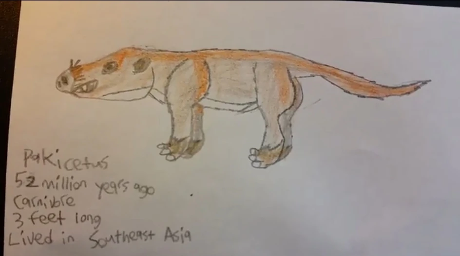 Pakicetus | DinoCoat The Gaming Tyrannosaur Wiki | Fandom