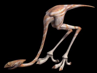 Void Strider | Information-Database-Center Wiki | Fandom