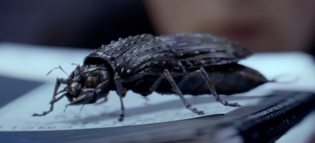 Future Beetle (Primeval) | Information-Database-Center Wiki | Fandom