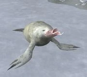 Horker | Information-Database-Center Wiki | Fandom