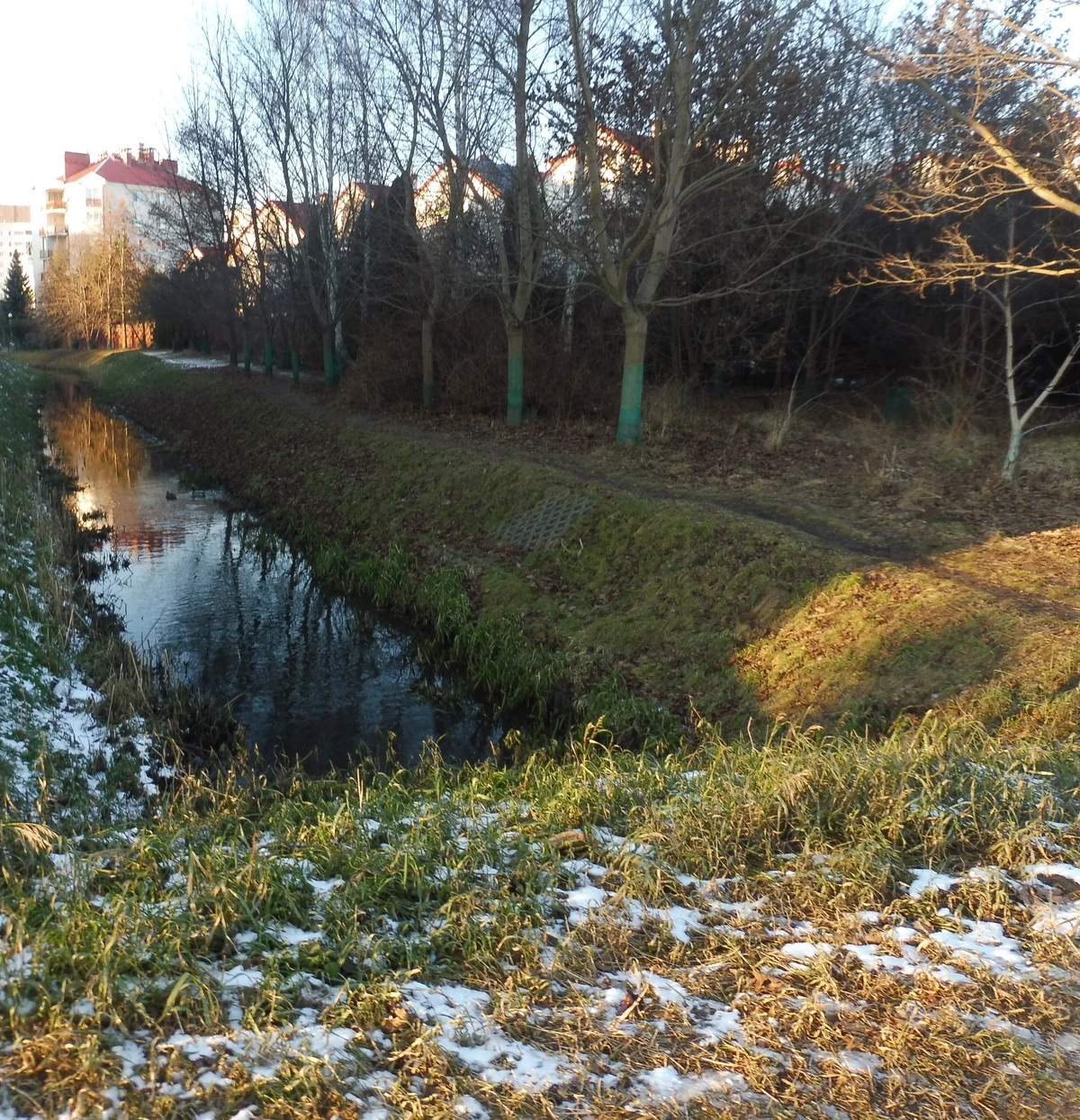 Kanał Nowa Ulga | InformationProject Wiki | Fandom