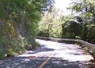 Tsubaki Line | Initial D Wiki | Fandom