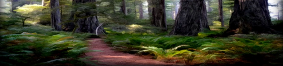 Evergreen Trail | Initium Wiki | Fandom