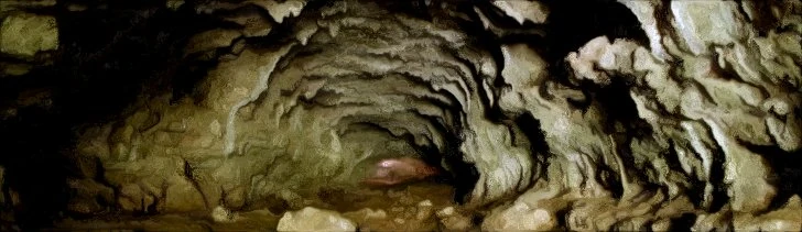 Immense Cavern | Initium Wiki | Fandom