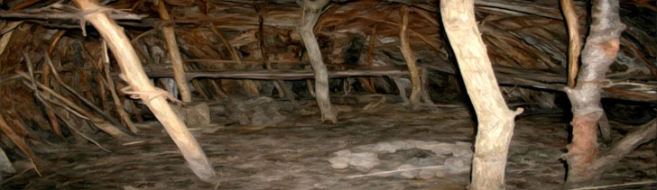 Lizardking Den | Initium Wiki | Fandom