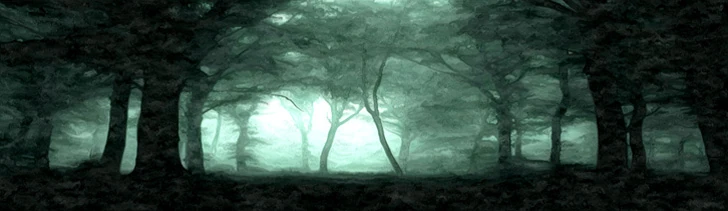 Shadowed Forest | Initium Wiki | Fandom