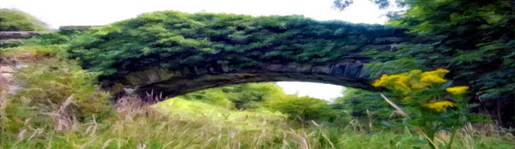 Overgrown Path | Initium Wiki | Fandom