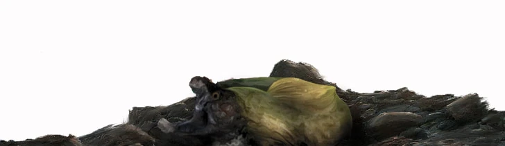 Burrowing Monster | Initium Wiki | Fandom