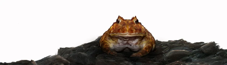 Giant Frog | Initium Wiki | Fandom