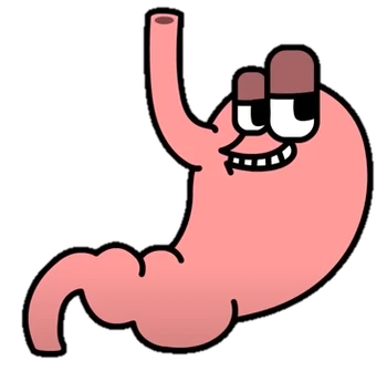 Stomach | 인제프 INJEF Wiki | Fandom