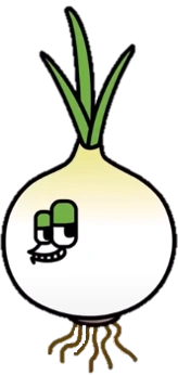 Onion | 인제프 INJEF Wiki | Fandom