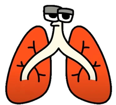 Lung | 인제프 INJEF Wiki | Fandom