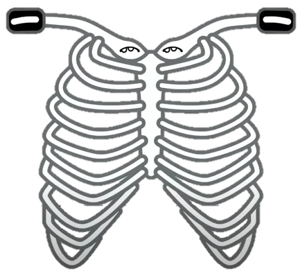 Rib | 인제프 INJEF Wiki | Fandom