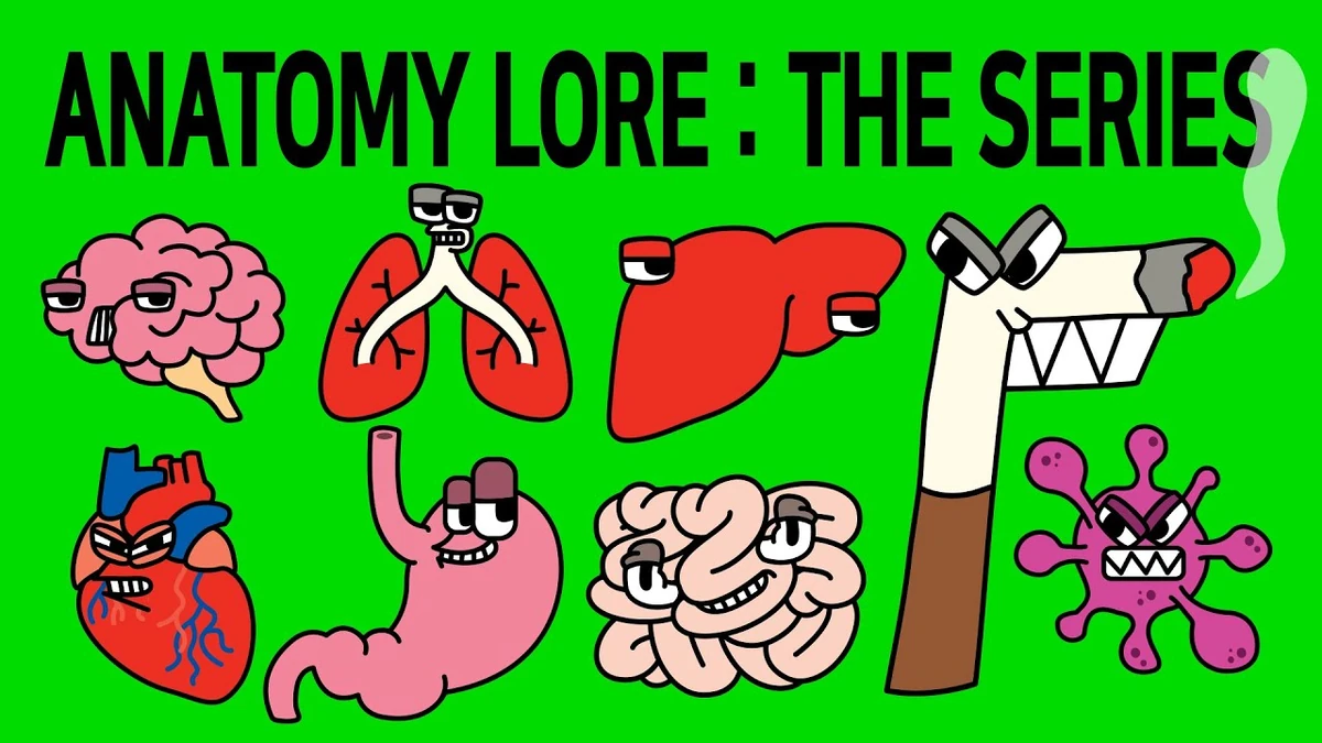 Anatomy Lore | 인제프 INJEF Wiki | Fandom