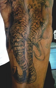 King Ruck | Ink Master Wiki | Fandom