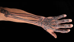 Kyle Dunbar | Ink Master Wiki | Fandom