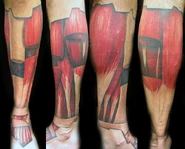 Sausage | Ink Master Wiki | Fandom