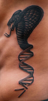 Mark Matthews | Ink Master Wiki | Fandom