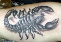 Mystical Mike | Ink Master Wiki | Fandom