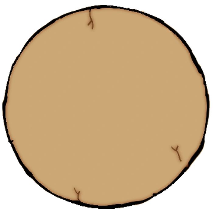 Circle Cookie | Ink Game Wiki | Fandom