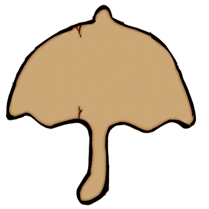 Umbrella Cookie | Ink Game Wiki | Fandom