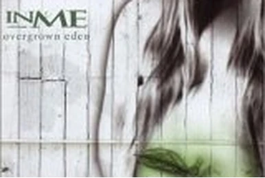 faster the chase cover