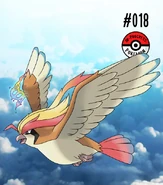 Pidgeot-Mega Pidgeot | In-Progress Pokemon Wiki | Fandom