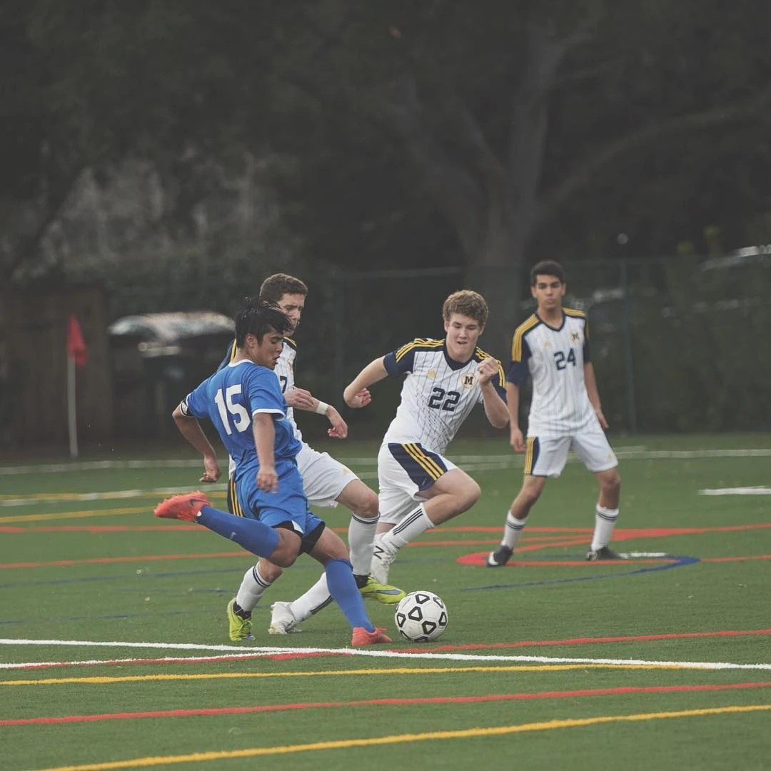 Category:Galleries | In Real Life Wiki | Fandom