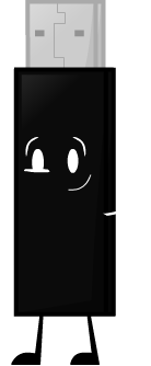 Flash Drive | Insane Fury Wiki | Fandom