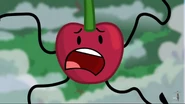 Cherry | Insanipedia - The Object Madness Wiki | Fandom