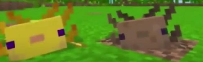 Alex and Blossom | Insanity SMP Wiki | Fandom