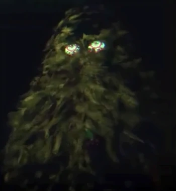 Магнификус | Inscryption вики | Fandom