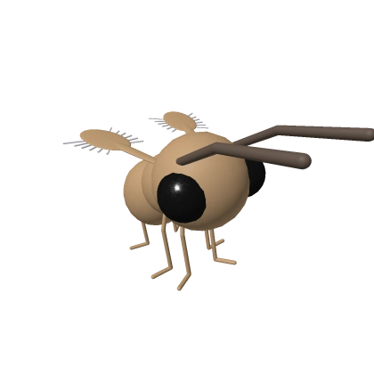 Fairyfly | Insect Perspective Wiki | Fandom