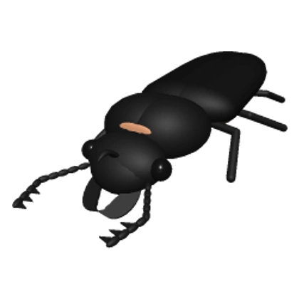 Horned Passalus Bess Beetle | Insect Perspective Wiki | Fandom