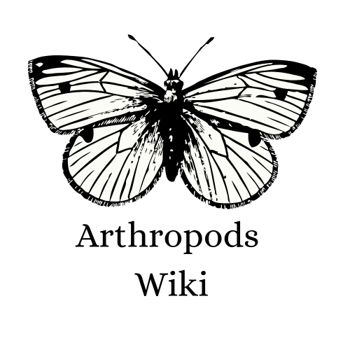 Executioner Wasp | Insect Wiki | Fandom