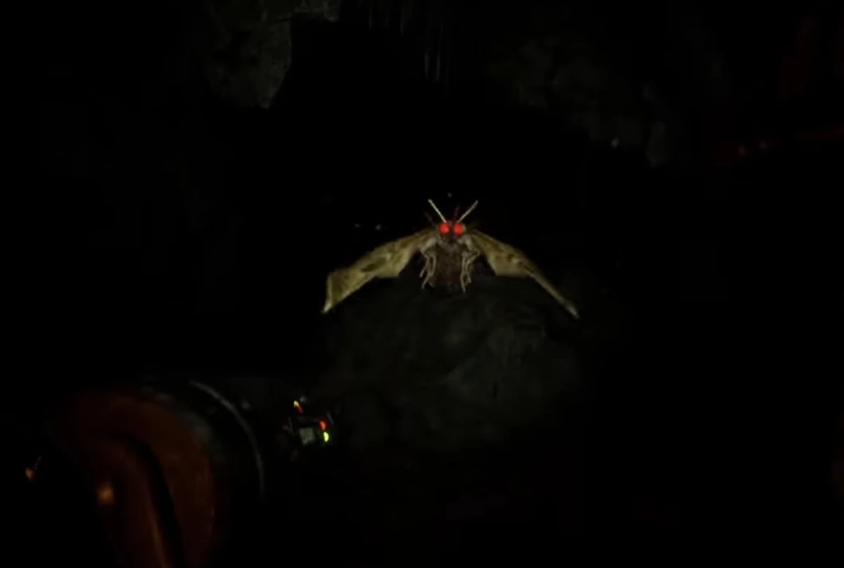 Death Moth - M | Inside the Backrooms Wiki | Fandom