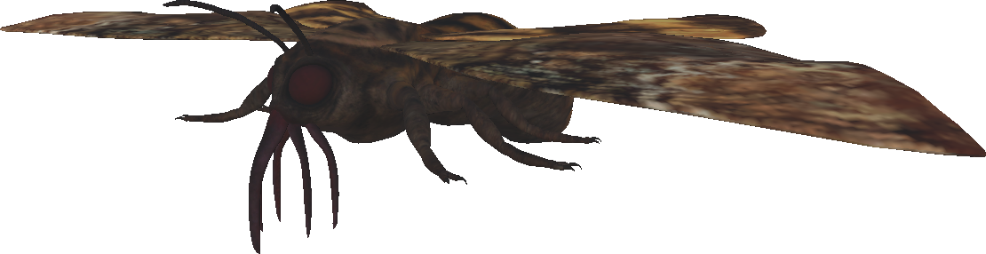 Death Moth Inside The Backrooms Wiki Fandom