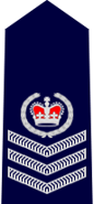 New South Wales Police Force | Insignias Wiki | Fandom