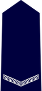 New South Wales Police Force | Insignias Wiki | Fandom