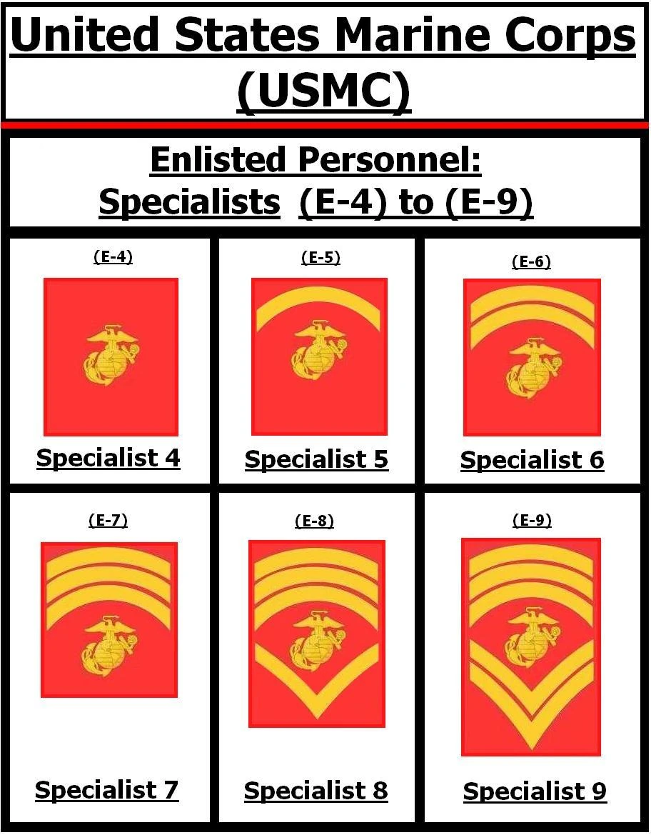 Us Army Specialist Ranks