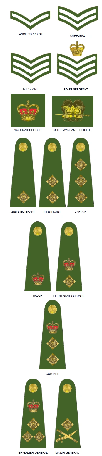 Papua New Guinea Defence Force | Insignias Wiki | Fandom