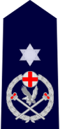 New South Wales Police Force | Insignias Wiki | Fandom